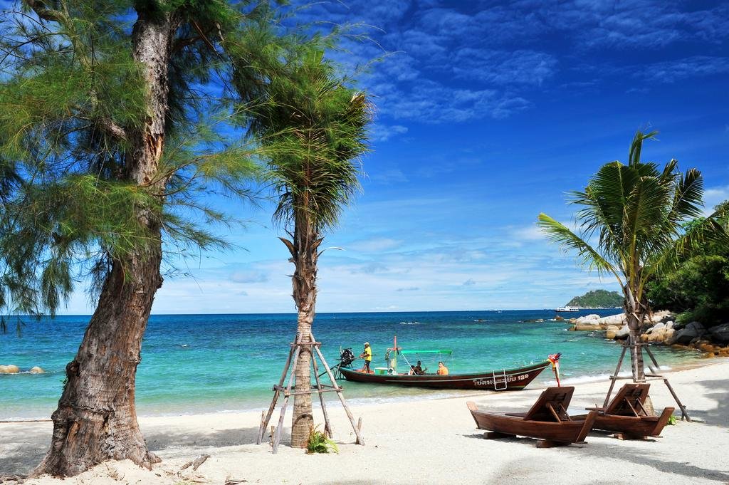 Koh Tao Island The Turtle Island Located in The Gulf of Thailand ...
